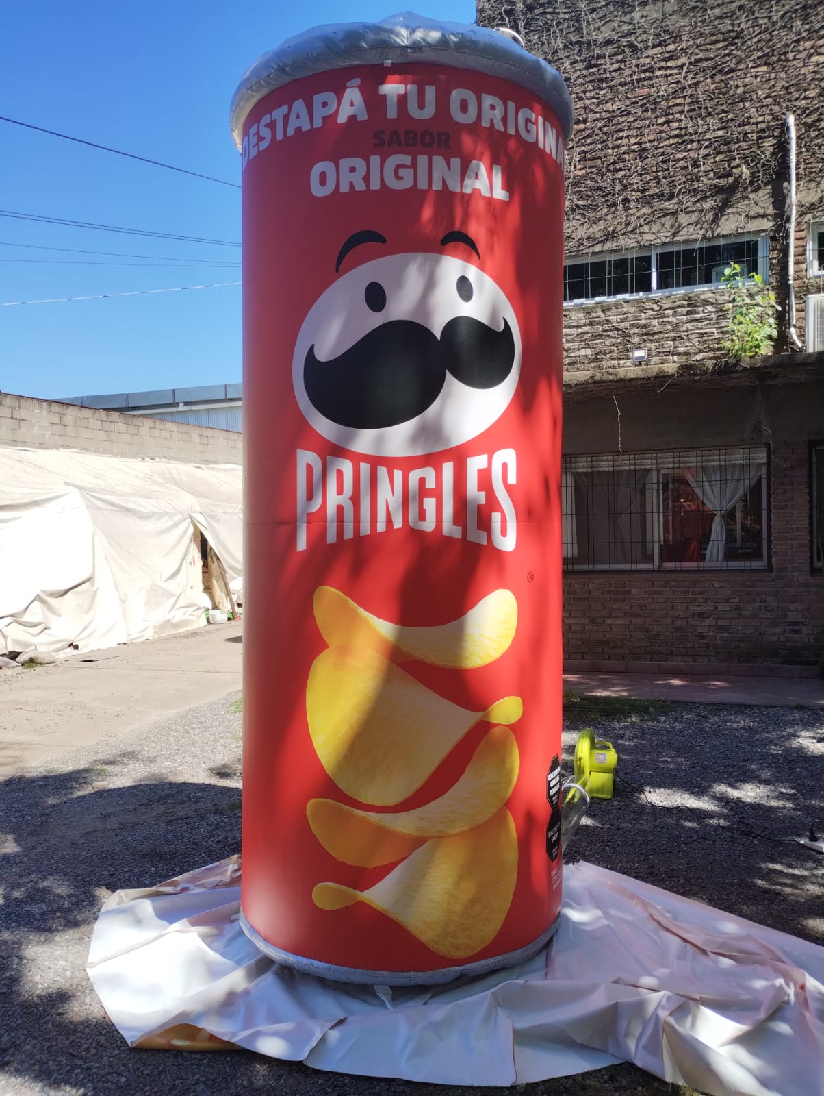Envase Pringles - Boreas